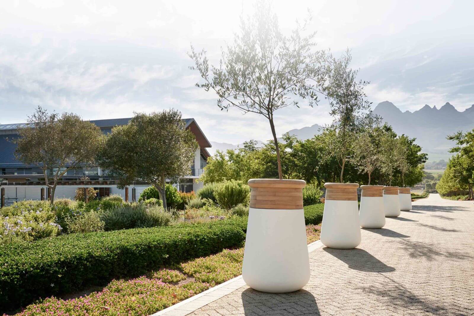 Indigenus - Planters For Inside And Out | Clima Home