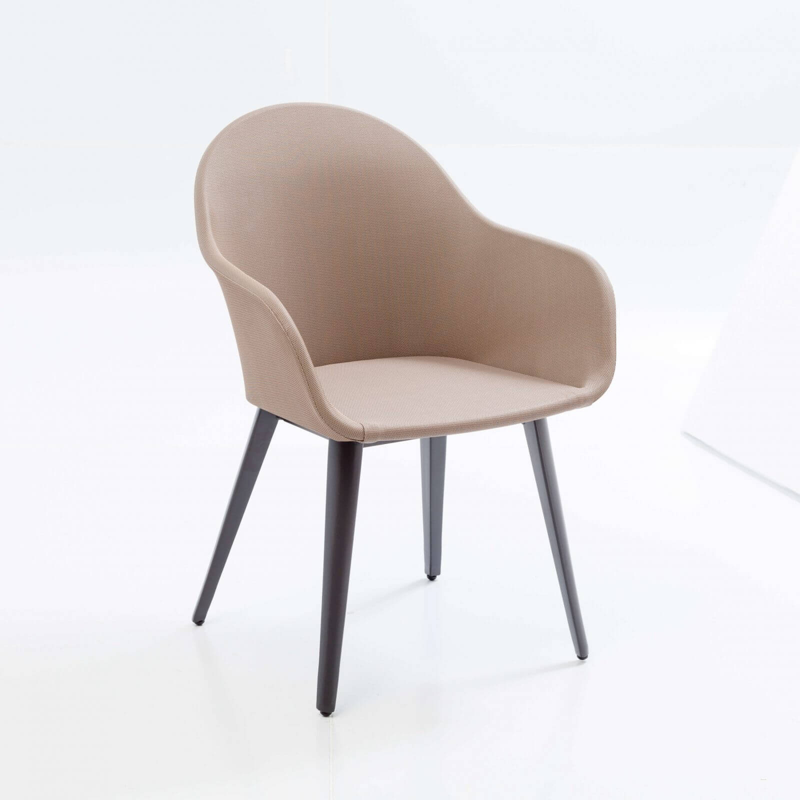 Contract Dinosaur Egg Dining Arm Chair | Clima Home
