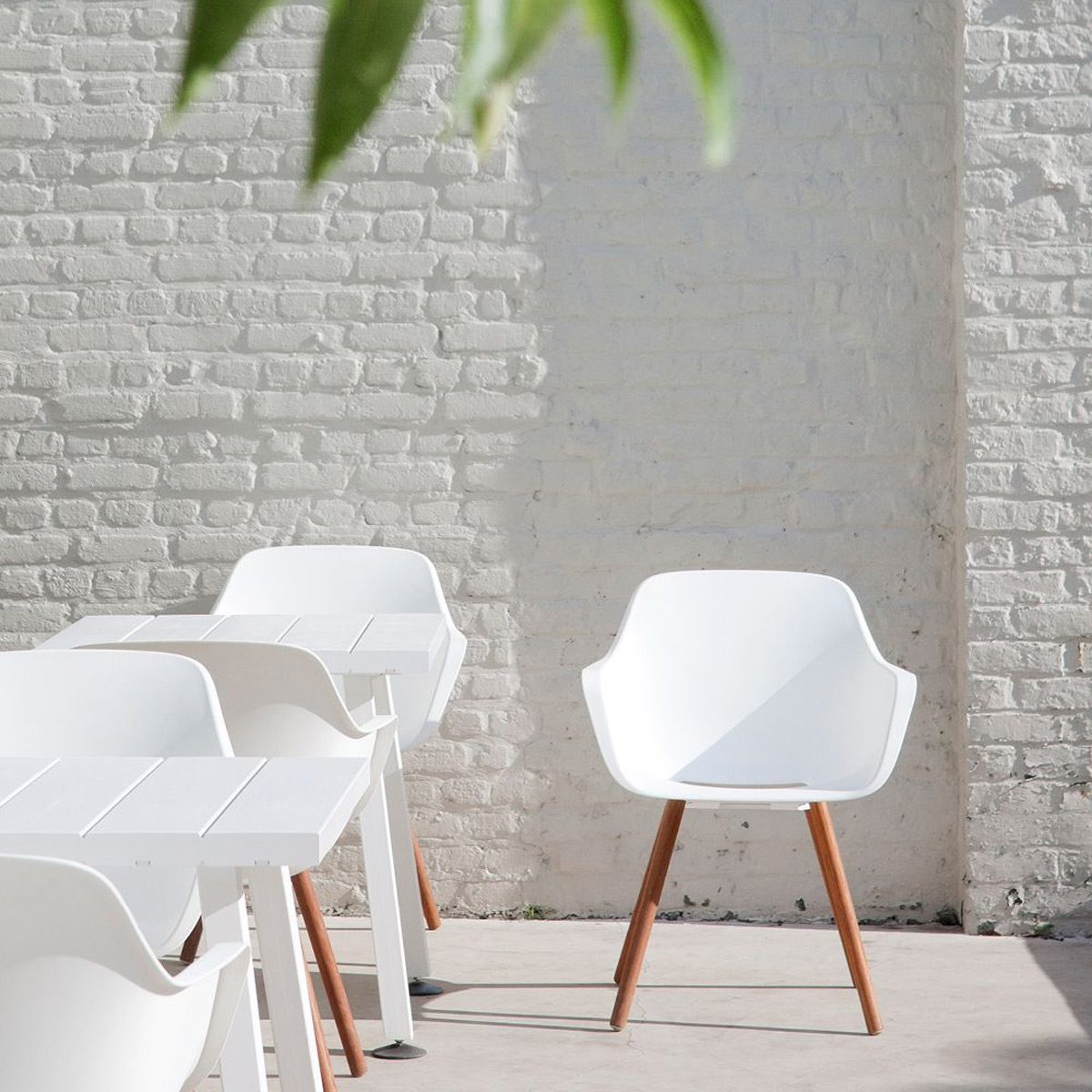 Extremis Captain's Woody Chair | Clima Home